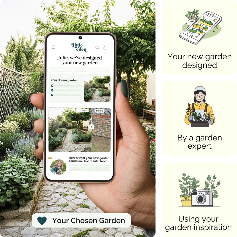 Med Lemon Court | Personalised Garden Design | Little Eden