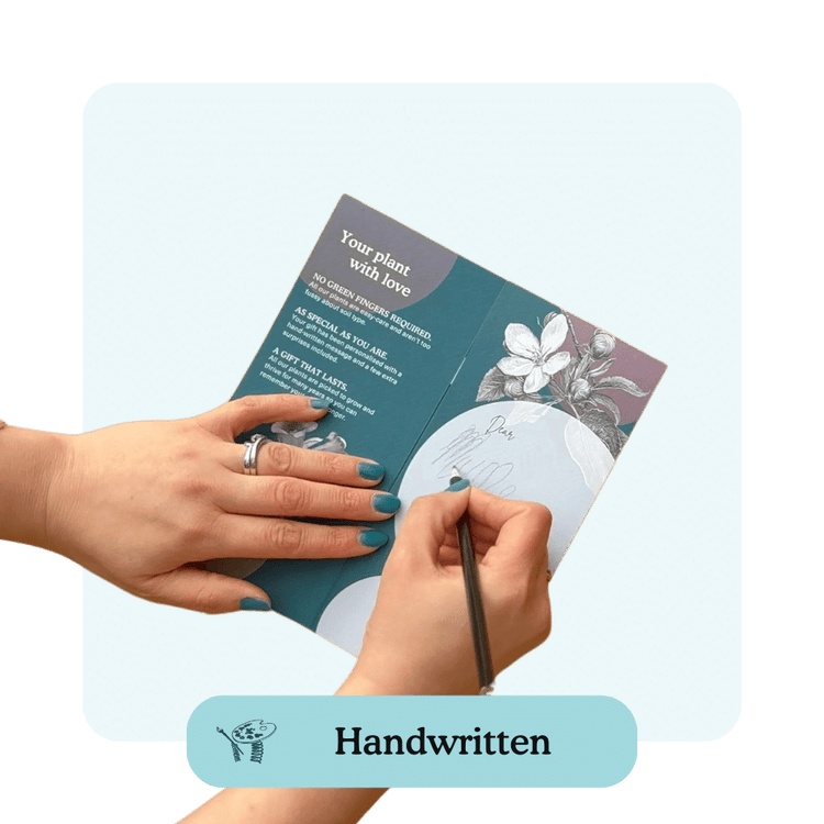 Japanese Mock Orange Gift Set – Little Eden